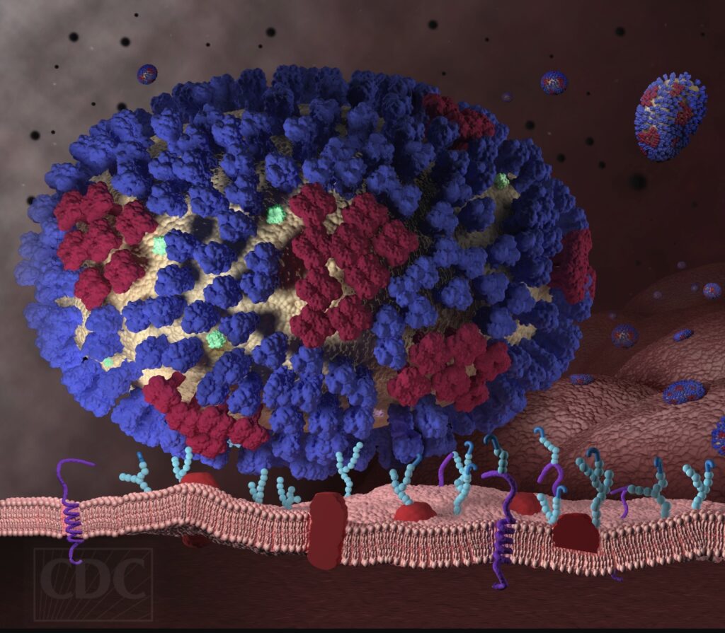 The First Flu Shot | University of Michigan Heritage Project