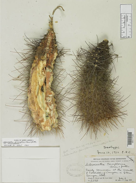 River Rat | University of Michigan Heritage Project