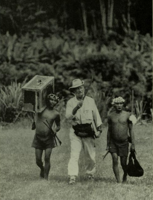 The Fake News About James Neel | University of Michigan Heritage Project