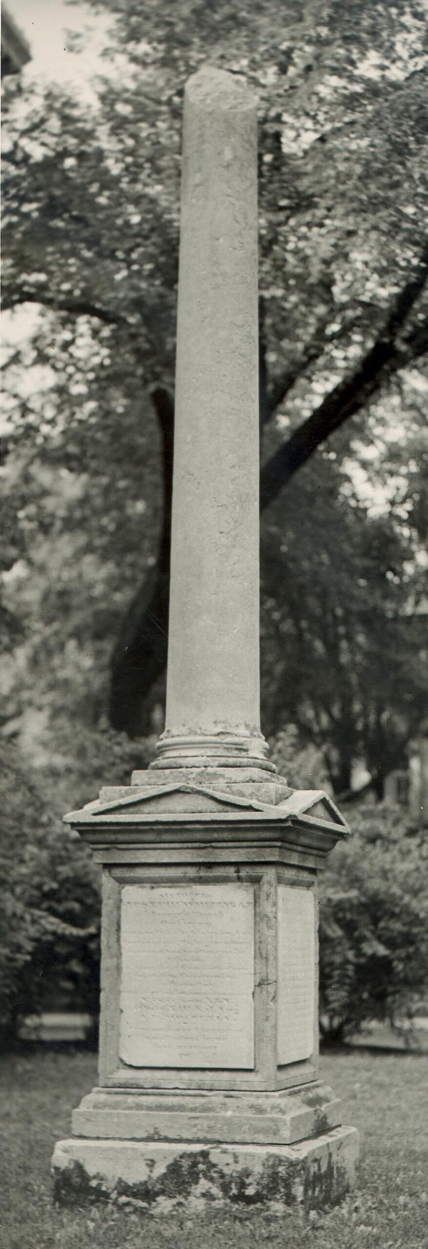 Picture Perfect | University of Michigan Heritage Project